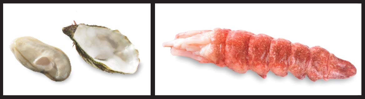 Notre Histoire – Huîtres Cadoret