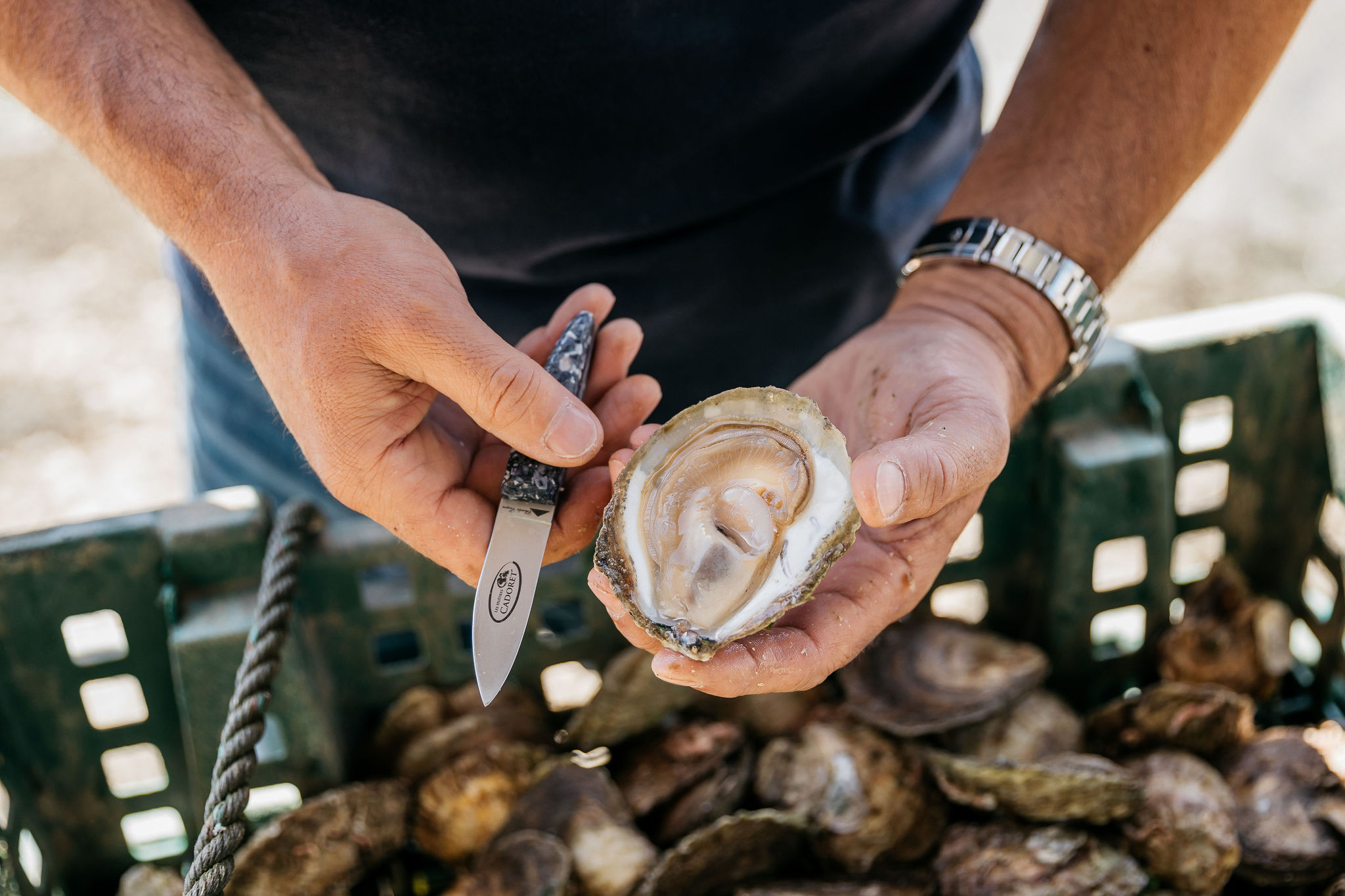 Nos huitres – En – Huîtres Cadoret